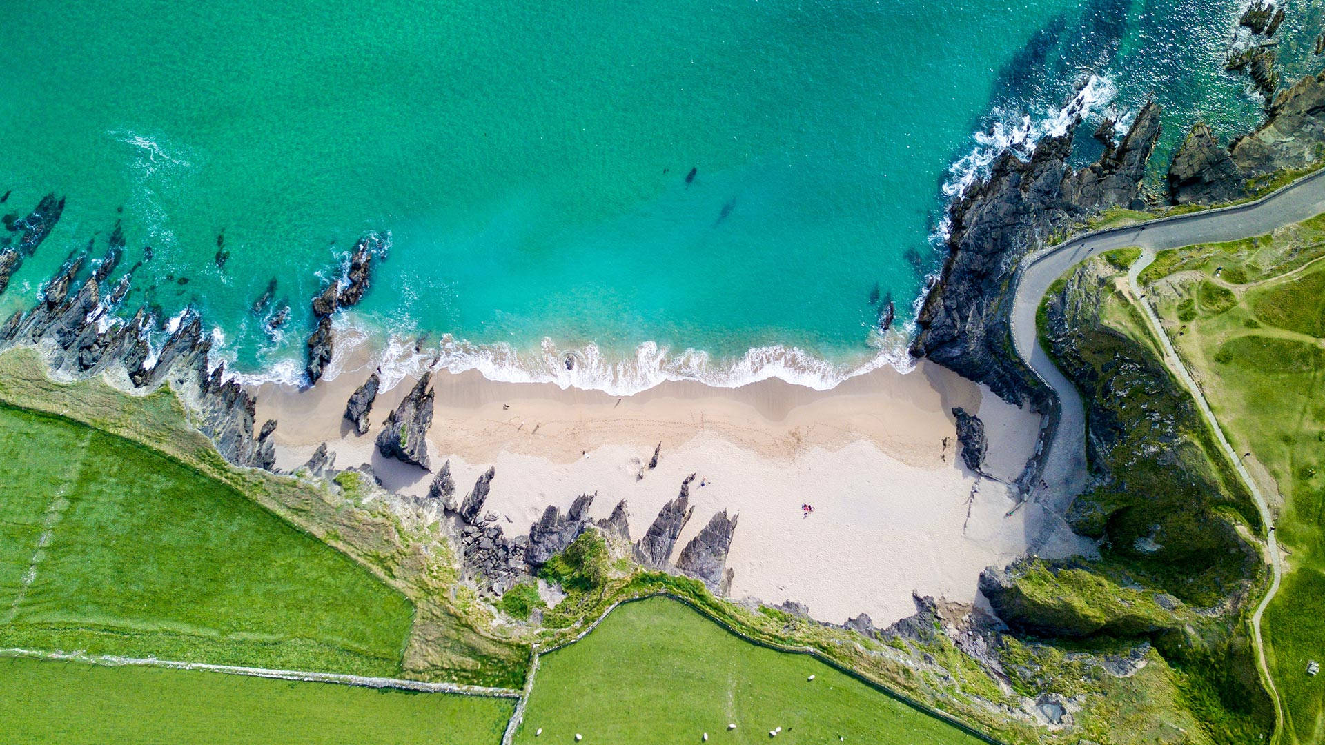 Benefits - Ireland | Nova Systems